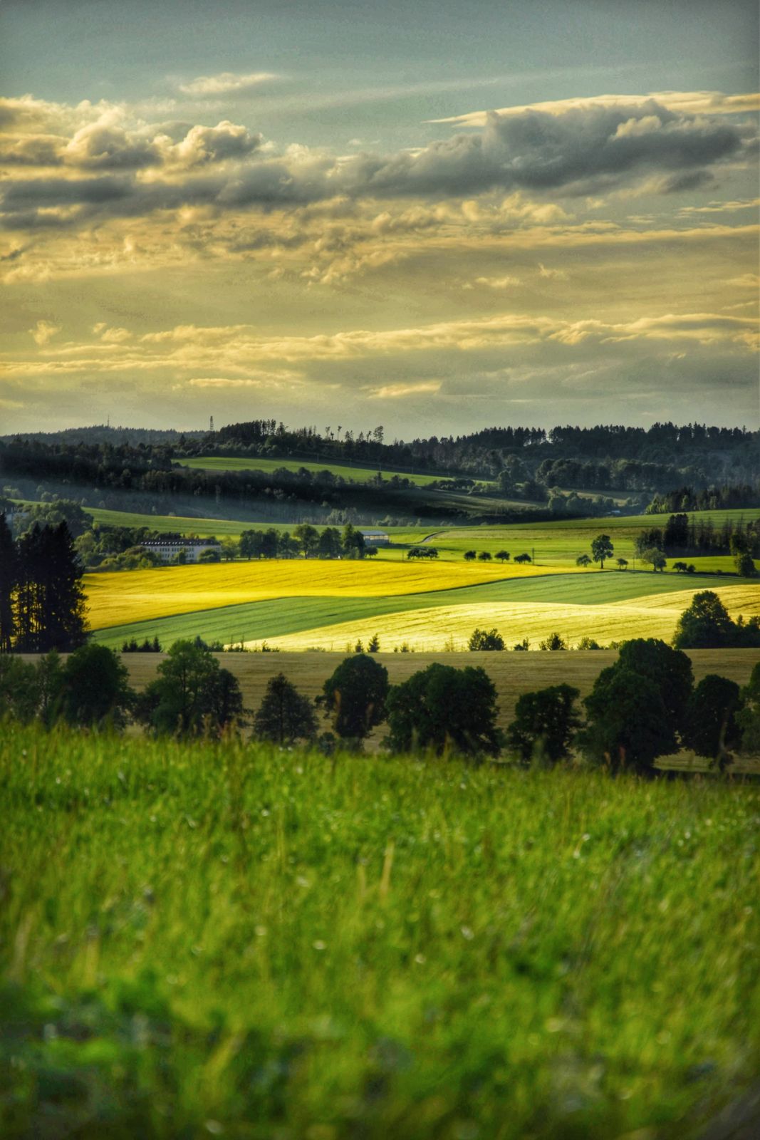 Vysočina je mezi Šampiony Zdravých měst za rok 2025 | Novinky ...